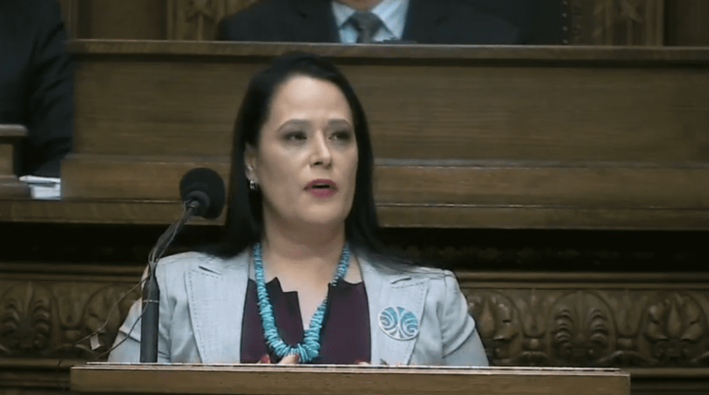 Holsey takes aim at honest history education, voting rights, opioid ...